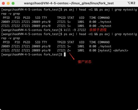 操作系统的进程状态 windows 有僵尸进程吗 CSDN博客 操作系统的进程状态 windows 有僵尸进程吗 CSDN博客