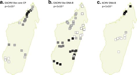 Spatial Population Structure Revealed Through Spatial Principal