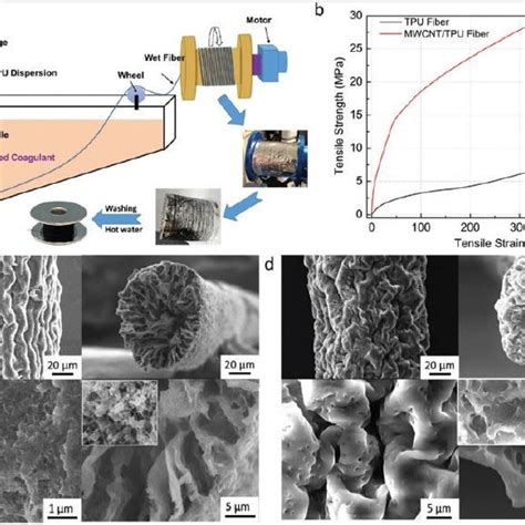 Pdf Multi Walled Carbon Nanotubes Based Sensors For Strain Sensing Applications