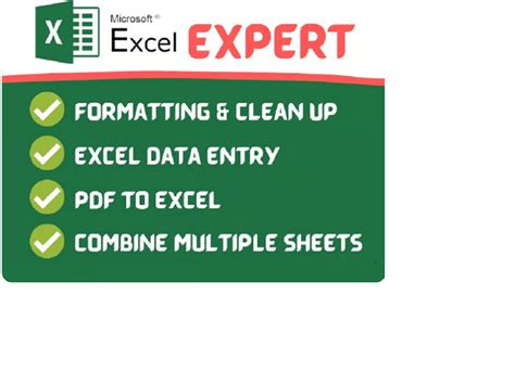 excel data entry formatting and cleaning service upwork