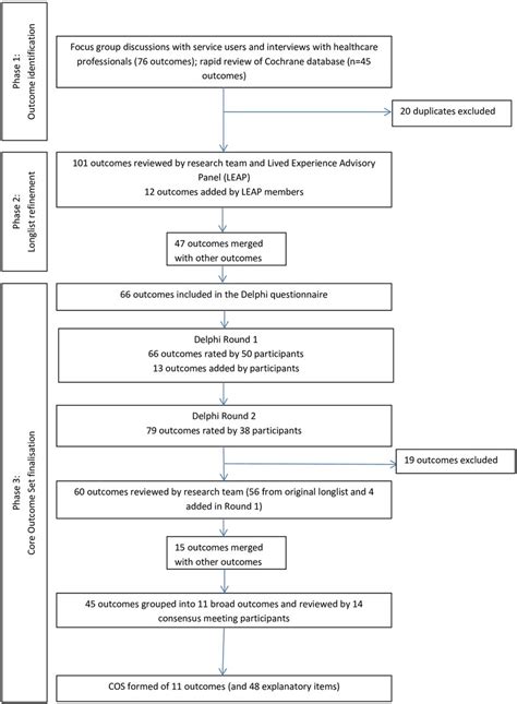 illustration of core outcome set development process download