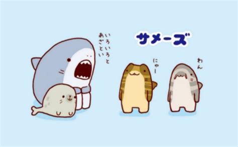 Pin By Kaijay Ee On Samezu Shark Cute Cartoon Drawings Cute Kawaii Drawings Shark Art