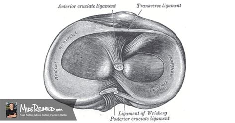 Meniscus Repair Or Meniscectomy Long Term Outcomes