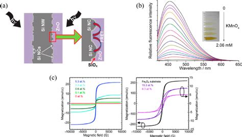 A Schematic Of Si Nws Modified By Si Nc Zno Composite Sio X Existed