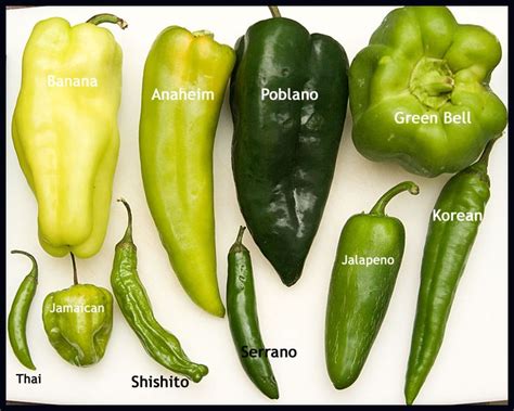 71 Best Peppers Images On Pinterest Chart Cooking Tips And Anaheim Peppers