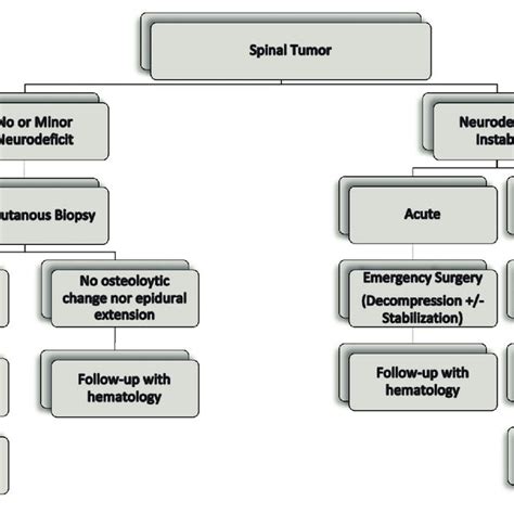 Proposed Treatment Algorithm For Spinal Lymphomas Download Scientific Diagram
