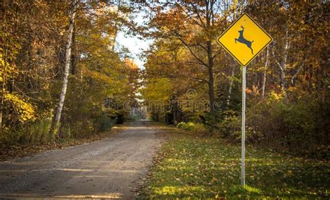 Rural Road With Deer Crossing Sign Deer Crossing Sign On The Shoulder