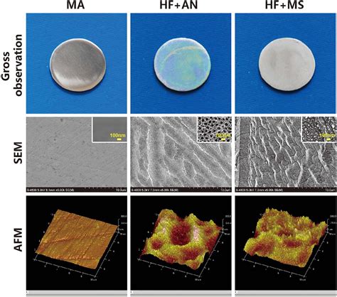 Figure 2 From Effects Of Different Hierarchical Hybrid Micro Nanostructure Surfaces On Implant