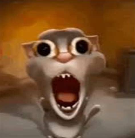 Cat Brainrot Song By Ten56 Meme Sound Effect Button For Soundboard