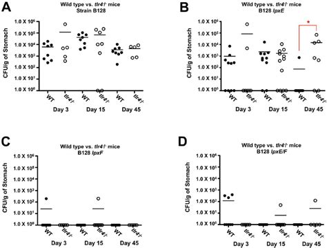 A Comparision Of In Vivo Colonization Of The Lpxe Lpxf And Lpxef Download Scientific Diagram