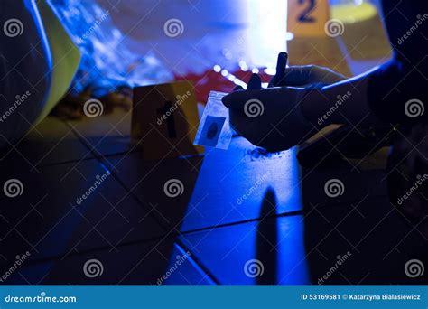 Forensic Scientist Preventing Evidence Stock Image Image Of Hands Glove 53169581