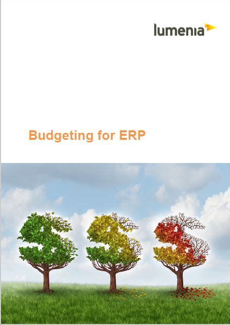 Budgeting For ERP Lumenia Consulting Independent ERP