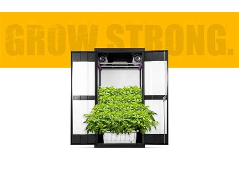 Hydroponic Grow Chamber Indoor Hydroponic Grow Box Kits Shanghai