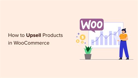 Как продавать товары в Woocommerce 5 простых способов • Продвижение Web 2 0