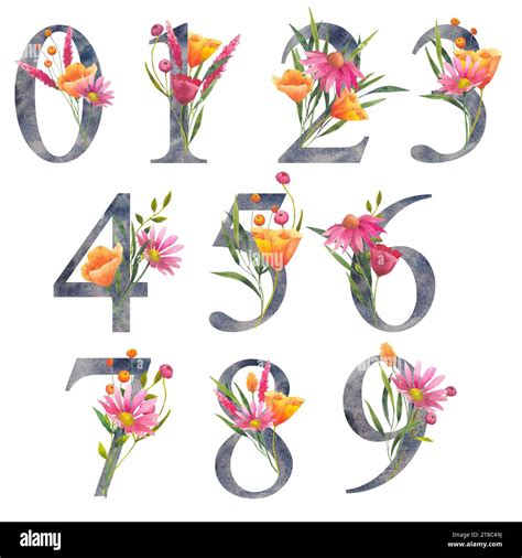 Set Of Floral Numeric In Watercolor With Wildflowers Bouquet Wedding