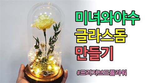 팁다방 미녀와야수 글라스돔 만들기시들지않는꽃 프리저브드플라워preserved Flower Youtube