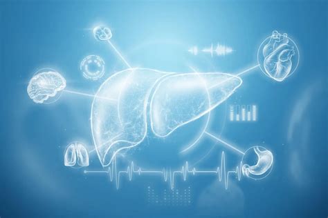 Liver Detoxification Therapy Siam Clinic Thailand