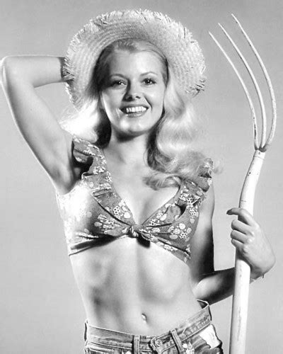 Misty Rowe On Hee Haw Sitcoms Online Photo Galleries