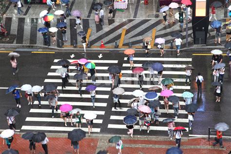 횡단보도 사람 사람들 시민 건널목 사진 이미지 일러스트 캘리그라피 프리이미지작가