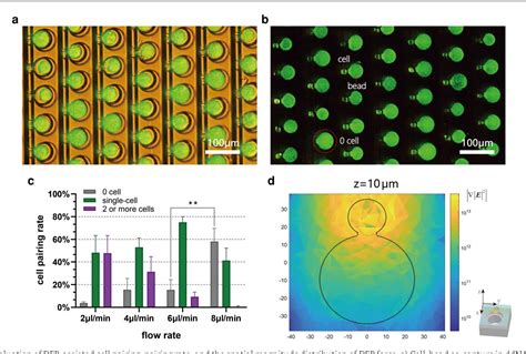 Figure 1 From Highly Efficient Cell Microbead Encapsulation Using Dielectrophoresis Assisted