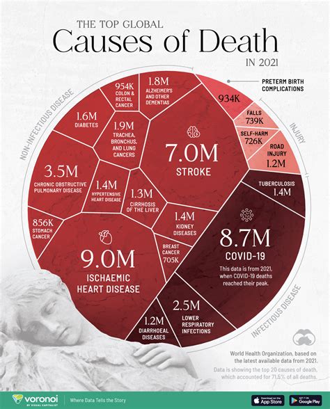 Ranked The Top 20 Leading Causes Of Death In 2021