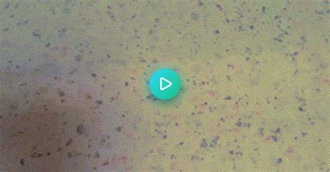 How To Build A Computer  On Imgur