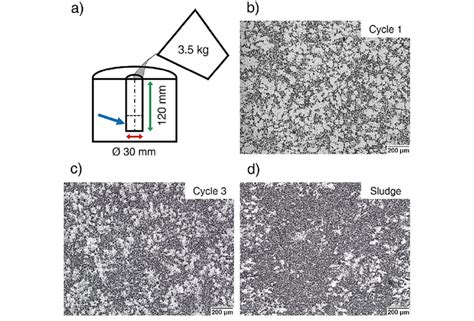 Illustrations Of The A Sampling Scheme As Well As The Polished Download Scientific Diagram