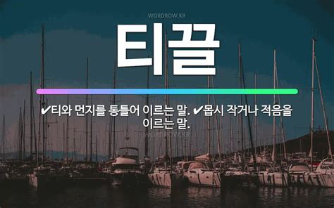 🌟티끌 티와 먼지를 통틀어 이르는 말 몹시 작거나 적음을 이르는 말 표준국어대사전