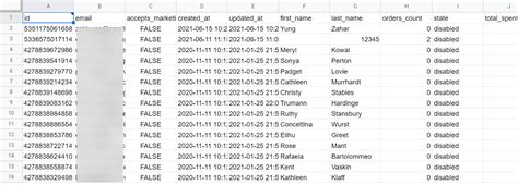 How You Can Export Shopify Data Coupler Io Blog