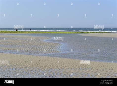 Beach At Low Tide With Wave Like Structure Current Ripples In Wet Sand