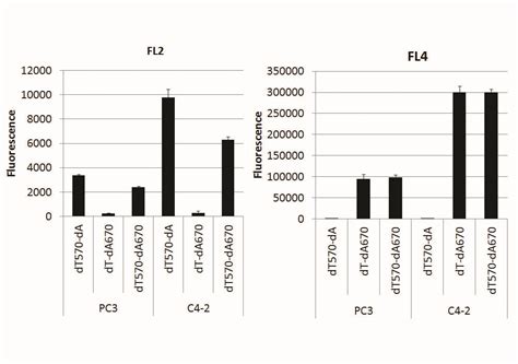 Dimeric Dna Aptamer Complexes For High Capacity Targeted Drug Delivery