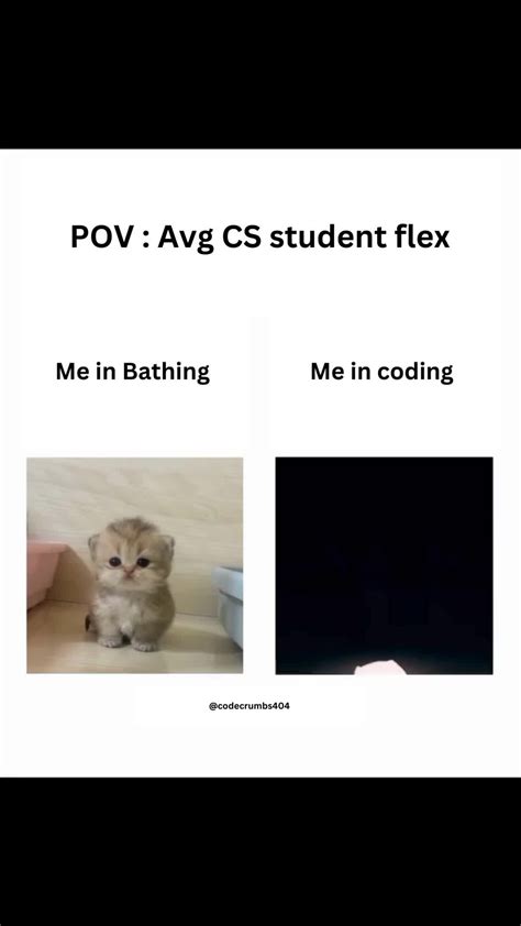 Codinglife Motivation Fypシ In 2025 Programmer Humor Programming