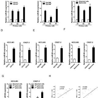 MiR 96 Overexpression Promotes The Expansion Of Liver T ICs A HCCLM3 Download Scientific