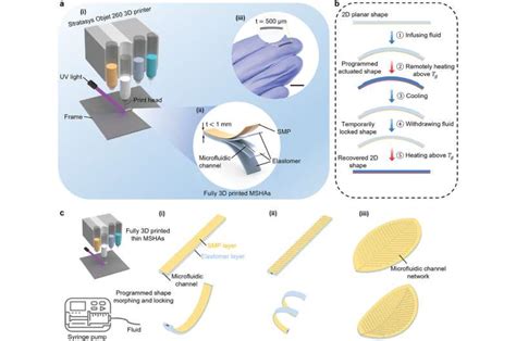 3d Printed Mini Actuators Can Move Small Soft Robots Lock Them Into