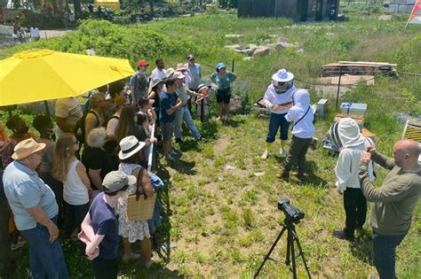 Education The Bee Conservancy
