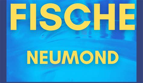 Fische Neumond 2025