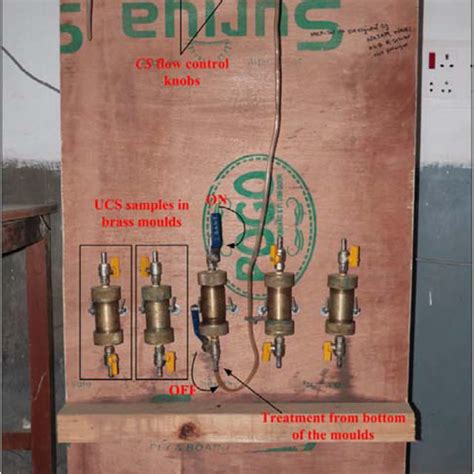 Visualization Of Bacteria Under Light Microscope Download Scientific Diagram