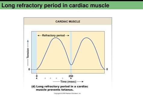 Ppt Chapter 14a Powerpoint Presentation Free Download Id2191231