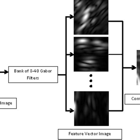 Gabor Energy Filter Bank Each Gabor Energy Filter Download Scientific Diagram