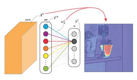 Class Activation Maps Cams From Scratch A Data Odyssey
