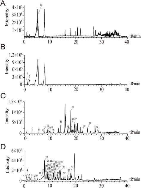 The Total Ion Chromatography Of The Standards And The Qyyyg A Download Scientific Diagram