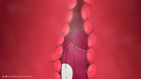 Anime Sex X Ray Xxx Videos Anime X Ray Xxx