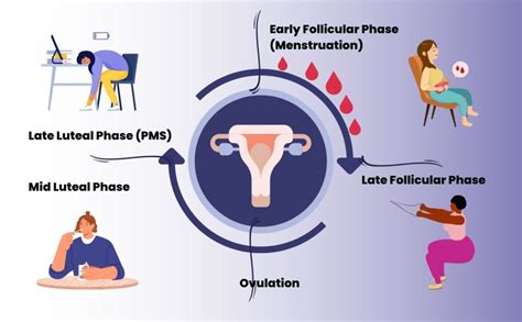 Understanding Your Menstrual Cycle: A Comprehensive Guide - Gynae Fit