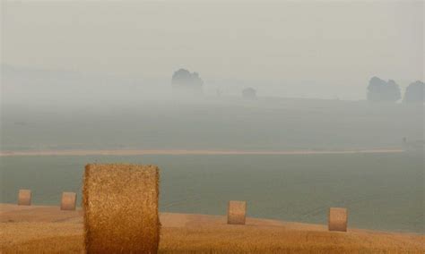 Understanding Data Structures And Algorithms The Backbone Of