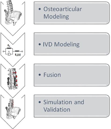 Hybrid Rigid Deformable Modeling Workflow Download Scientific Diagram