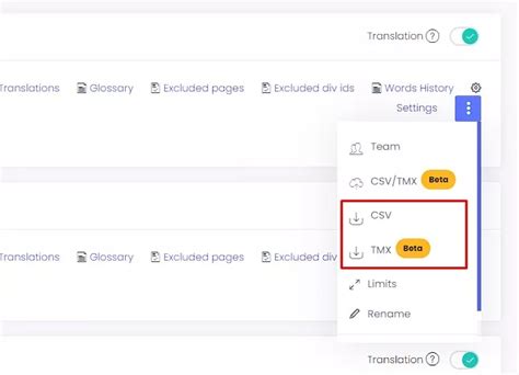 Can I Importexport My Translations ⭐️ Conveythis