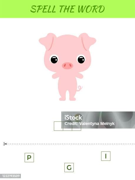 맞춤법 단어 스크램블 게임 템플릿입니다 어린이와 유아를위한 교육 활동 플랫 벡터 스톡 일러스트레이션입니다 교육에 대한 스톡 벡터 아트 및 기타 이미지 Istock