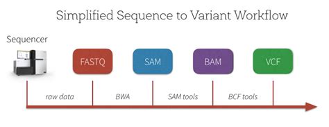 Parallelizing Genome Variant Analysis Databricks Blog