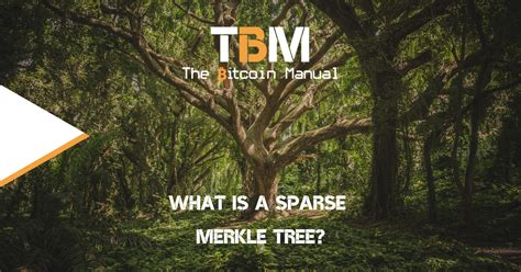 what is a sparse merkle tree the bitcoin manual