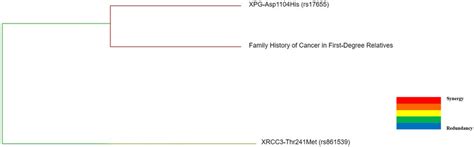 interaction dendrogram gained from the multifactor dimensionality